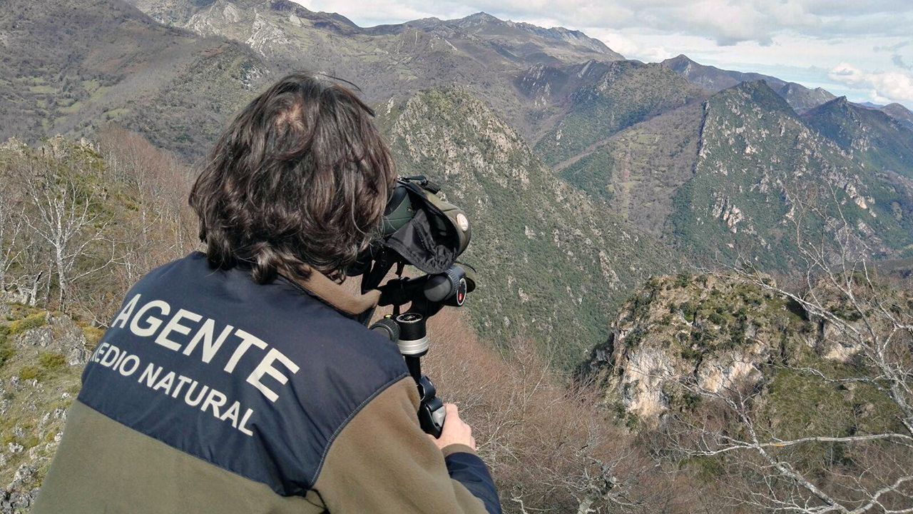 Oposiciones Agente Forestal | Opositalo